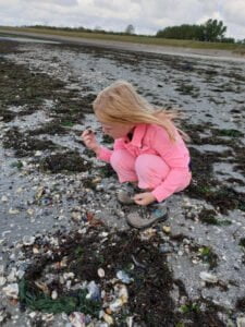 Alikruiken koken (Krukels koken): met krentenbrood of als borrelhapje ...